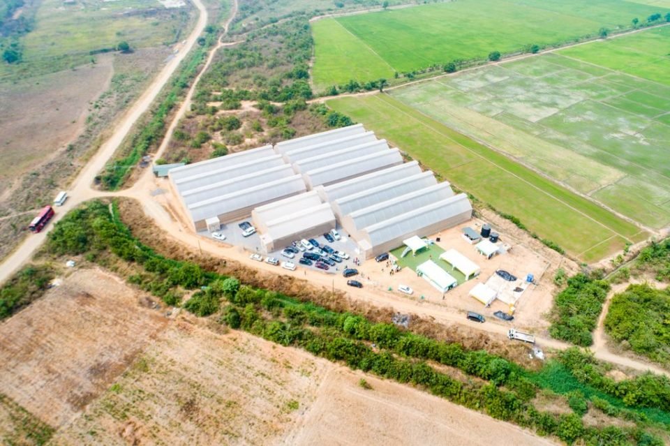 Ardhi Farms Greenhouse Open Day - HortiFresh